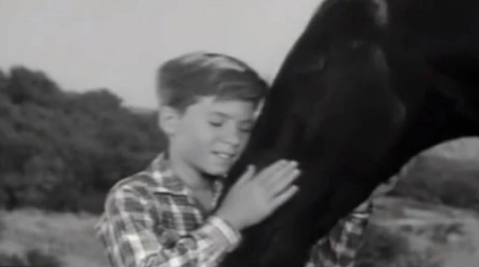 E' morto Joey, l'amico di Furia cavallo del West - Cavallo Magazine