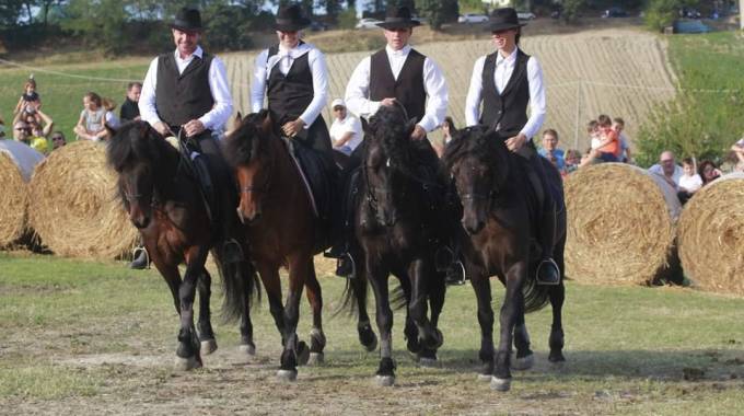 Il Trofeo Memorial Pietro Curati 2019: solo per Bardigiani D.o.c ...