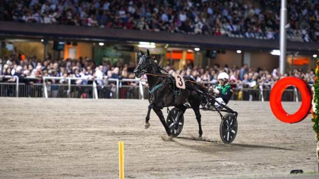 Campionato Europeo di Trotto: sport e glamour - Cavallo Magazine