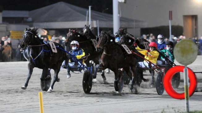 Grande Trotto a Bologna con il Gran Premio della Vittoria - Cavallo ...