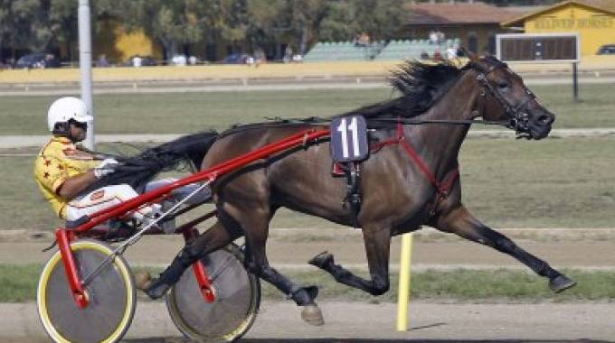 Trotto: femmine di 9 anni e maschi di 13 in pista nel 2018 - Cavallo ...