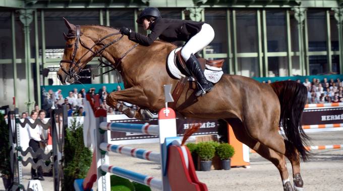 La preparazione del cavallo sportivo: e tu, come la fai? - Cavallo Magazine
