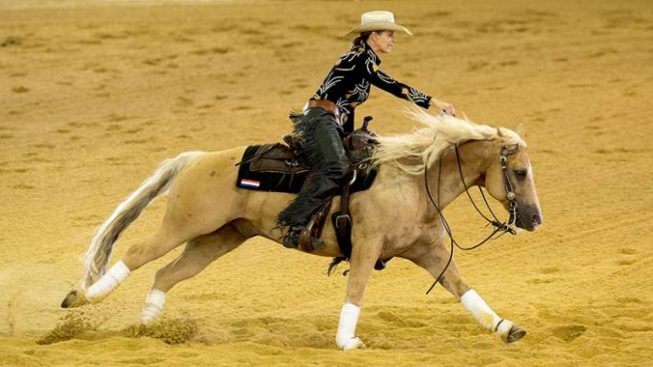 Pale Face Chex slides Bobby Avila, Jr. to top the first section of the ...