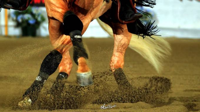 The Guidolin Wafer Fioc NRHA $15,000-added Reining International de ...