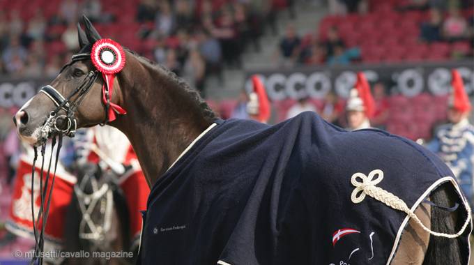 Valegro's farewell to sport - Cavallo Magazine