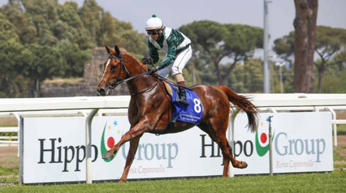Ippica: due anni di qualità e tre HP - Cavallo Magazine