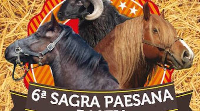 Lugo di Romagna: a Bastia la sagra con i cavalli Bardigiani e TPR ...