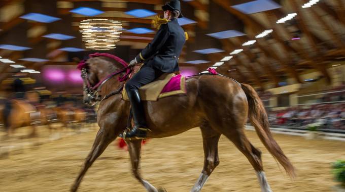 Saumur, la città dei cavalli: pirouette della Corte dei Conti - Cavallo ...
