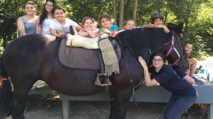 Verona: una cavalla TPR fa felici i bimbi de La Vecchia fattoria ...