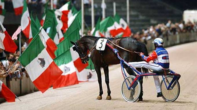 Cavalli a Roma: Varenne il Capitano sarà la star della fiera - Cavallo ...