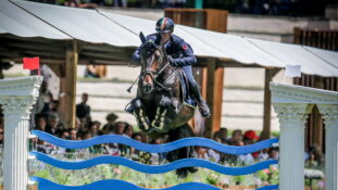 Tokyo du Soleil è partito: ciao Italia, Giappone eccomi - Cavallo Magazine